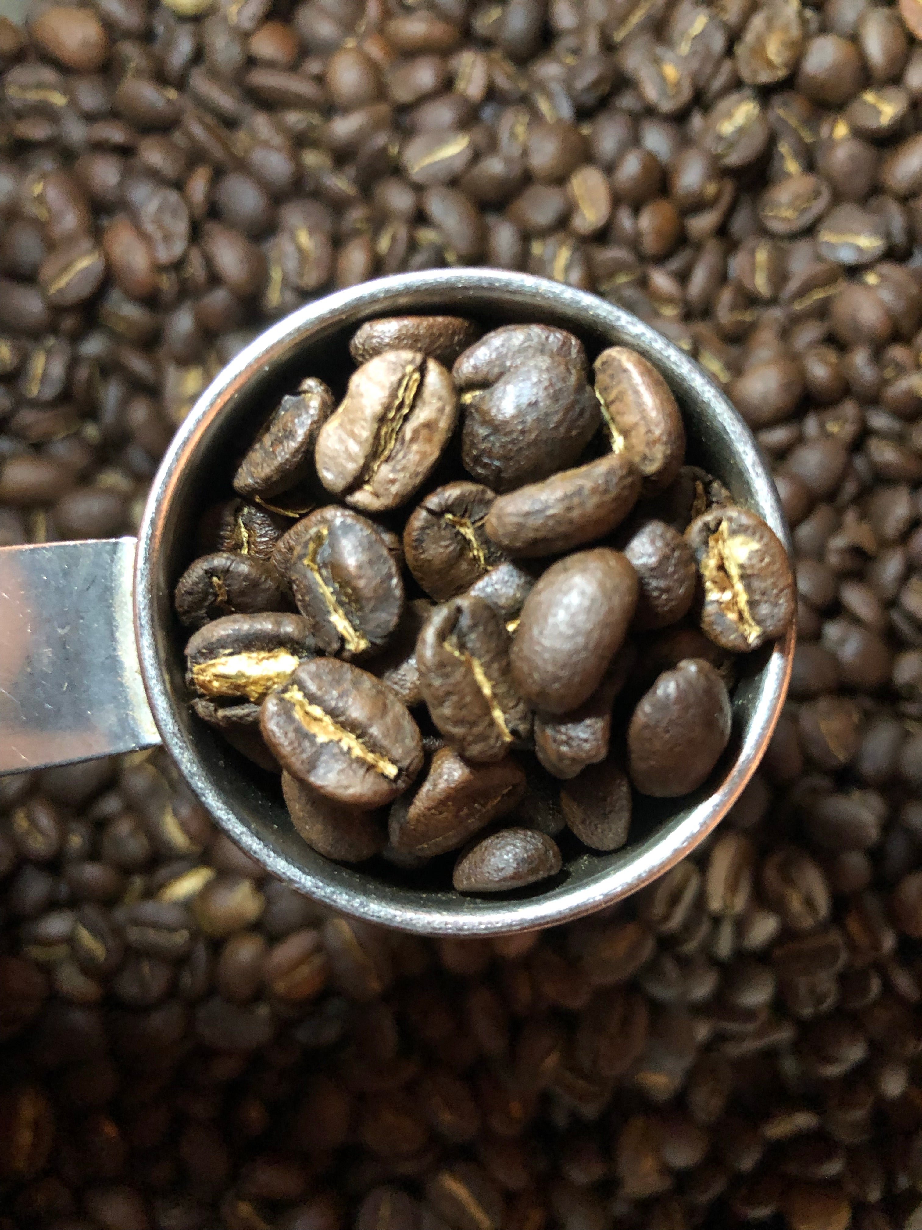 First Sip Subscription – First Sip Coffee Roasters